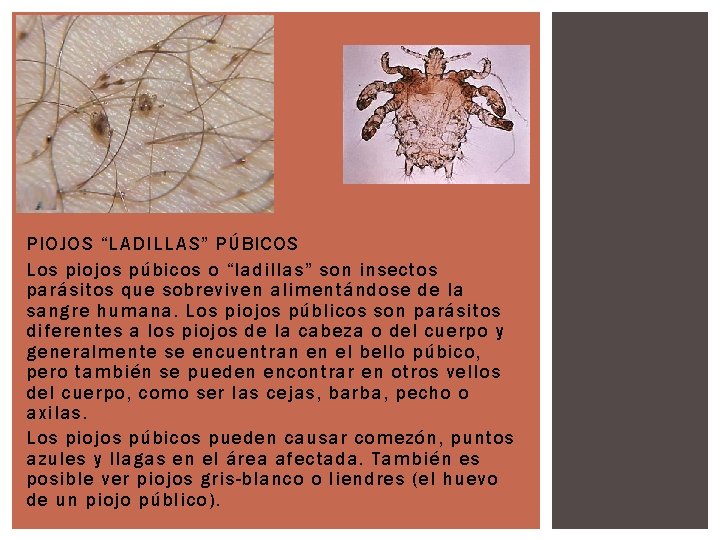 SEXUALIDAD EN LA ADOLECENCIA EMBARAZO Y ADOLESCENCIA EMBARAZO