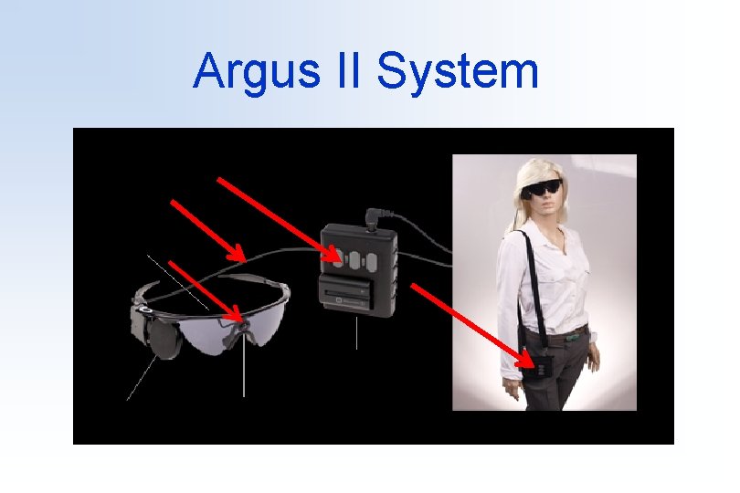 Looking at the Future of Vision Research Implantable