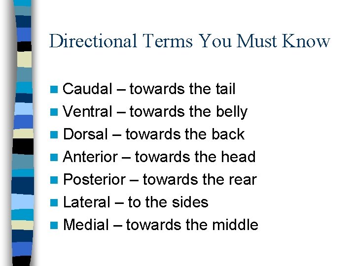 Directional Terms You Must Know n Caudal towards
