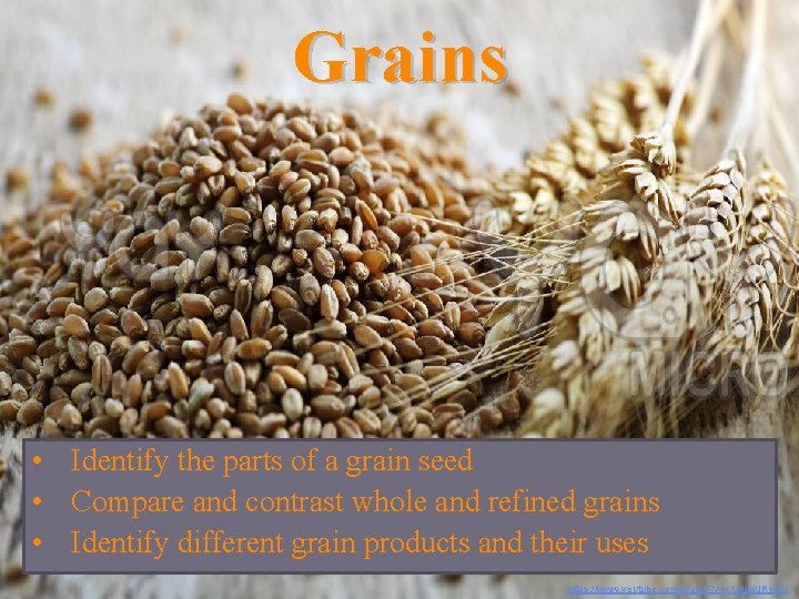 Grains Identify the parts of a grain seed