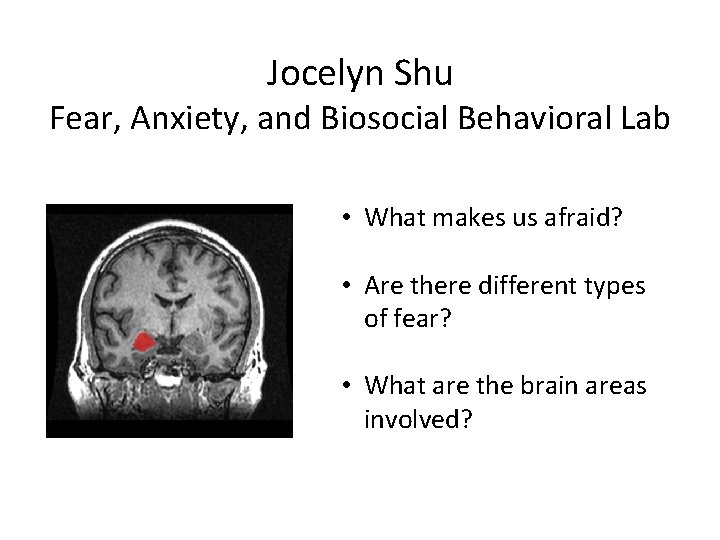 Memory and the brain Columbia Grammar School With