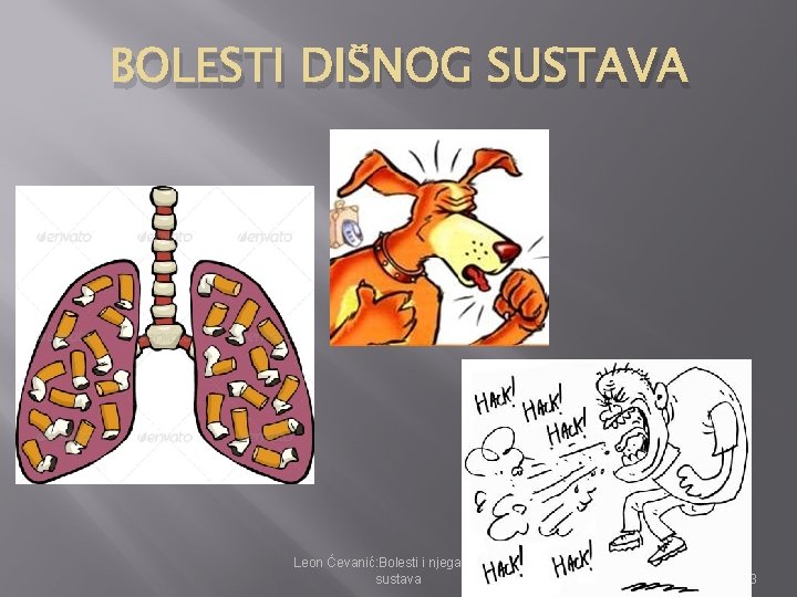 BOLESTI I NJEGA DINOG SUSTAVA Autor Leon evani