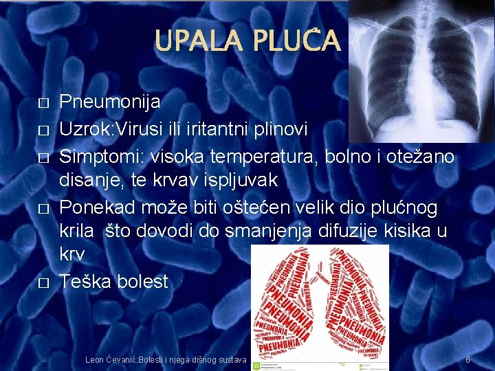 BOLESTI I NJEGA DINOG SUSTAVA Autor Leon evani