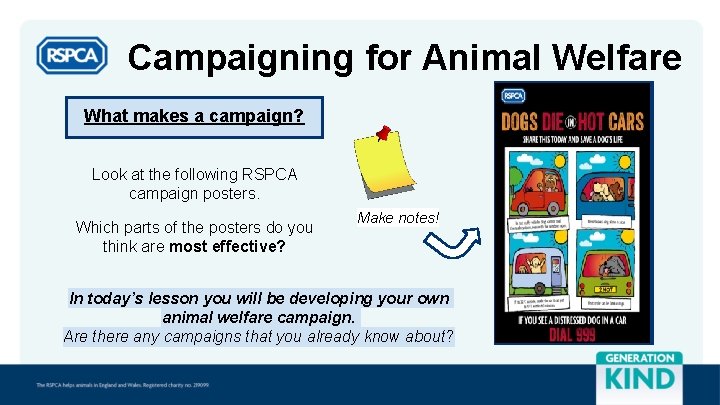 Campaigning for Animal Welfare What makes a campaign