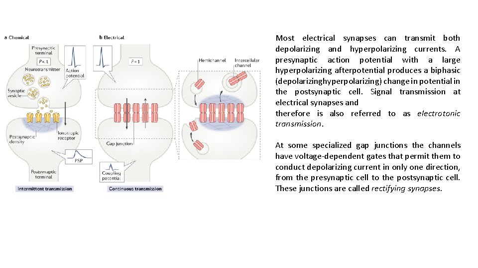 BM 530 Fundamentals of Neuroscience Week 1 Week