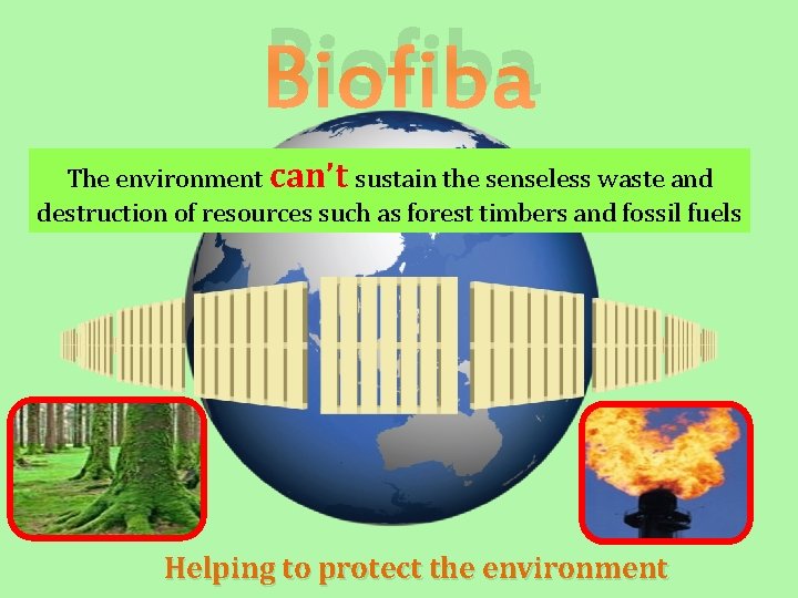 Biofiba The environment cant sustain the senseless waste