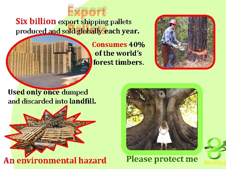 Biofiba The environment cant sustain the senseless waste