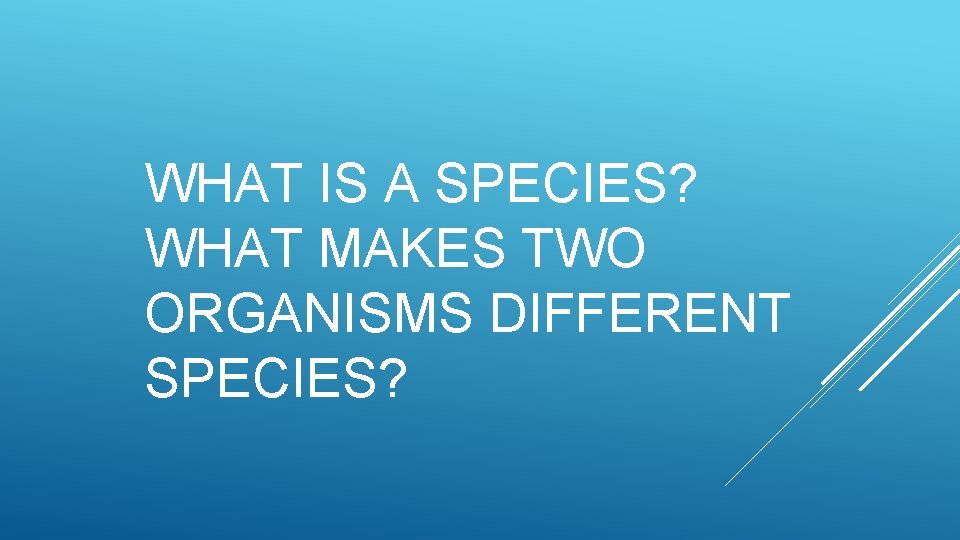 WHAT IS A SPECIES WHAT MAKES TWO ORGANISMS