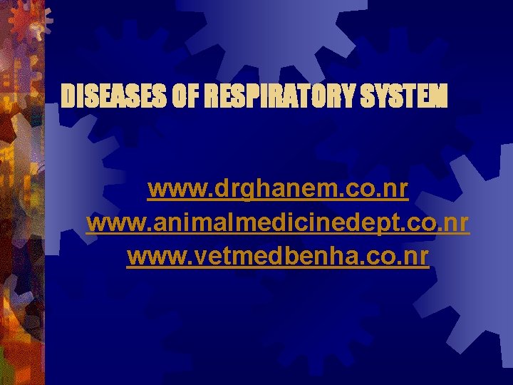 DISEASES OF RESPIRATORY SYSTEM www drghanem co nr