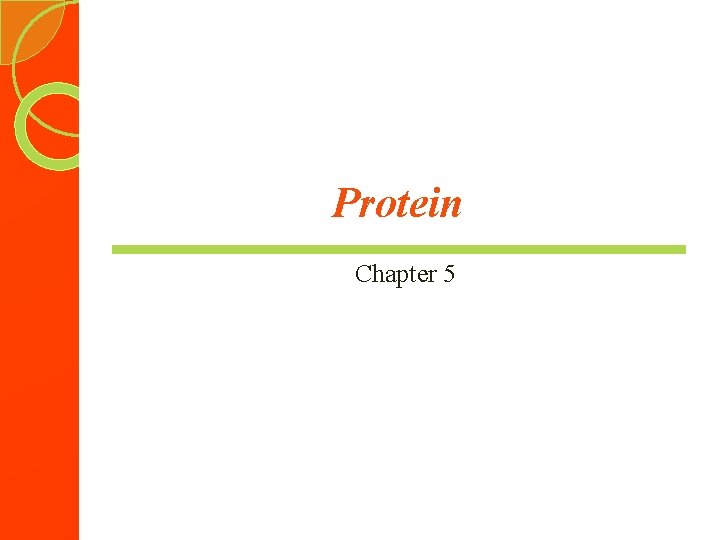 Protein Chapter 5 Learning Objectives Define protein and