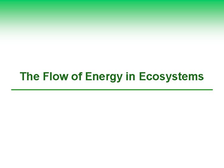 The Flow of Energy in Ecosystems Three Factors