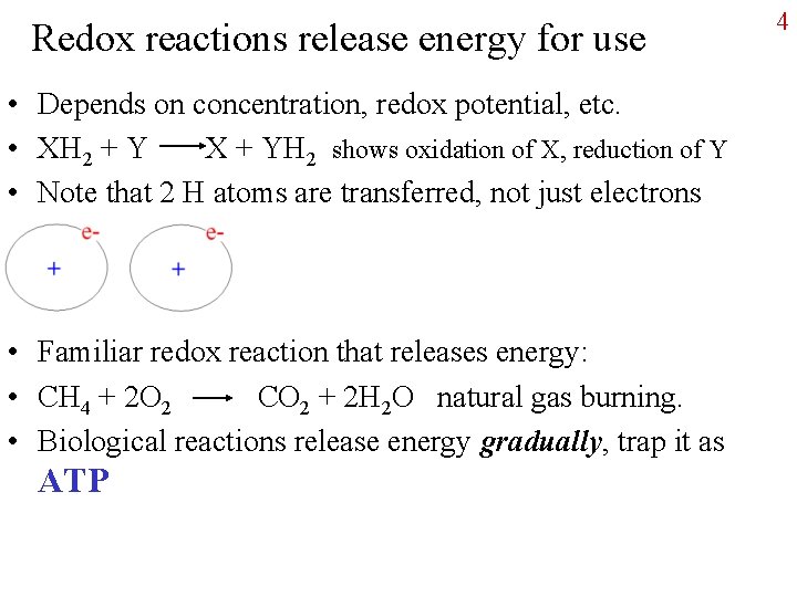 Metabolism the chemical reactions of a cell 1