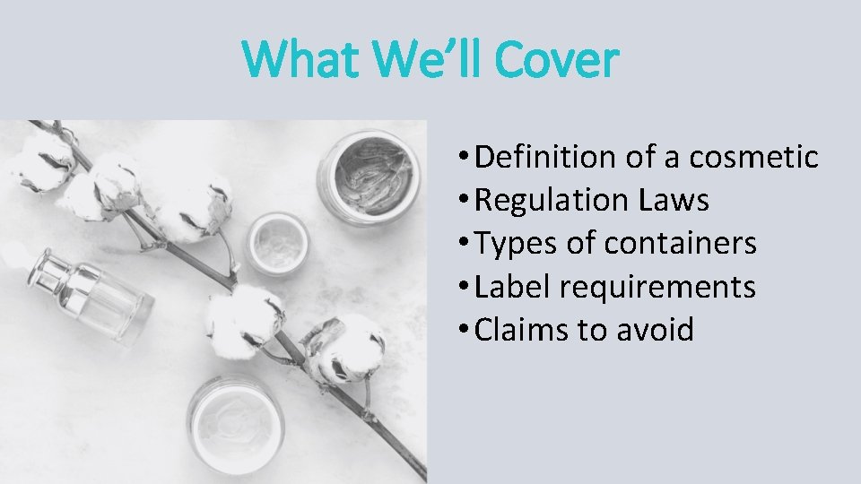 Cosmetic Labeling A Guide to FDA Compliance All