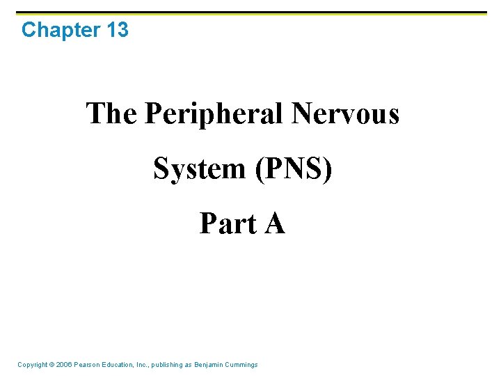 Chapter 13 The Peripheral Nervous System PNS Part