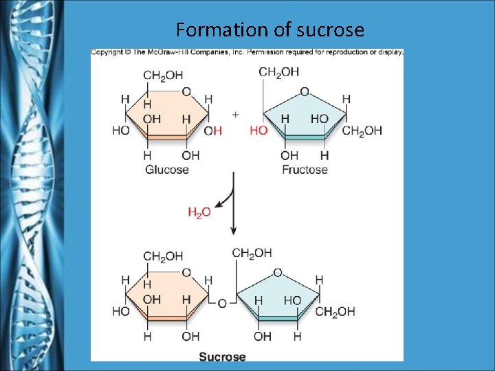 Molecules of Life Polymers Are Built of Monomers