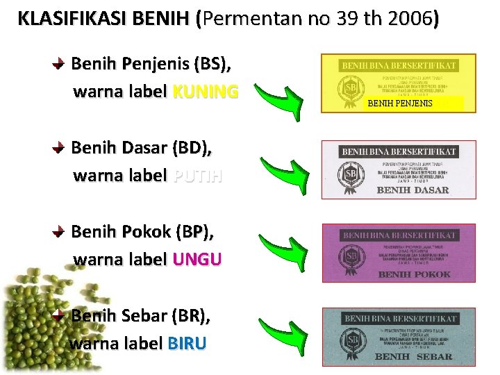 TEKNOLOGI PRODUKSI BENIH DARMAWAN SAPTADI BAHAN KAJIAN 1