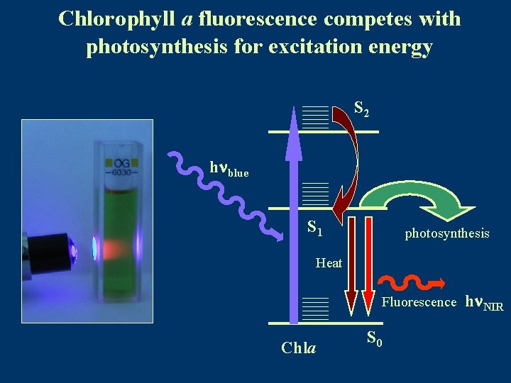 Productional Biology Kinetic Imaging of Plant Chlorophyll Fluorescence