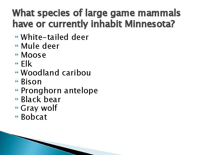 History of Large Wildlife Mammals in Minnesota What