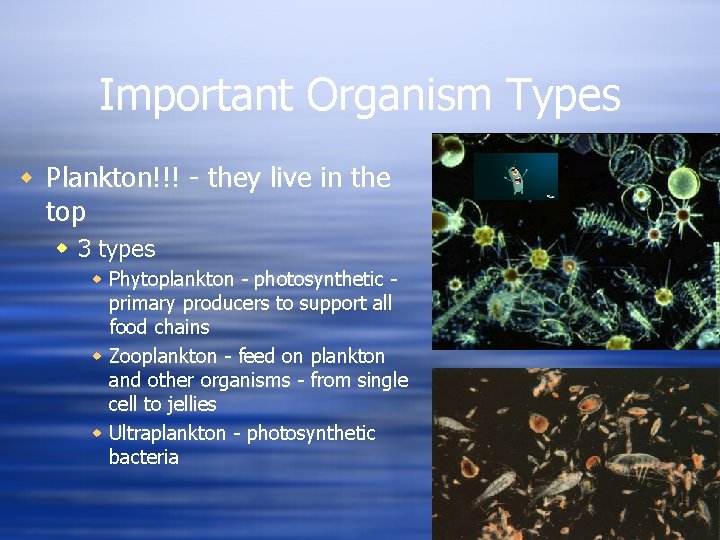 Aquatic Biodiversity Ch 6 Part 1 In general