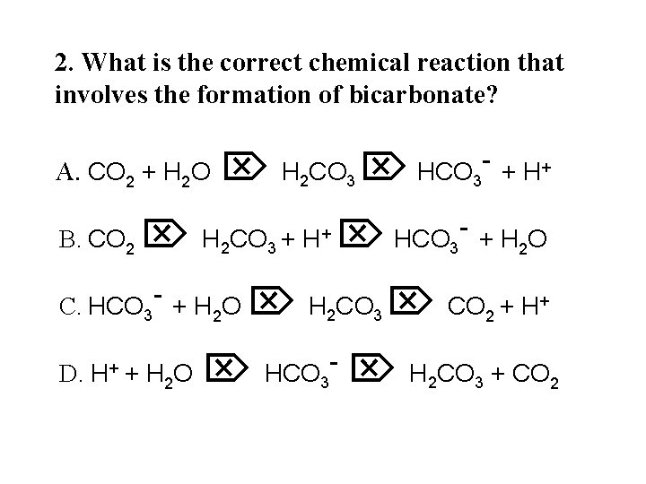 BI 233 Anatomy Physiology Lab Topic Respiratory System