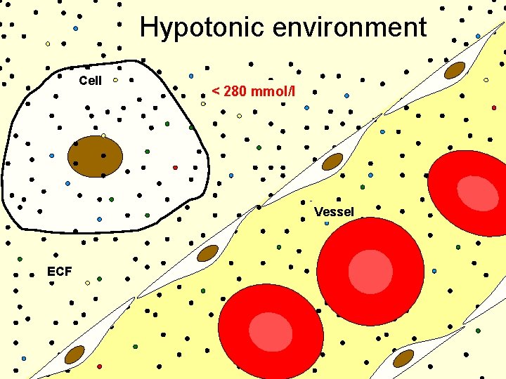 Internal Environment and its possible disturbances Stanislav Matouek