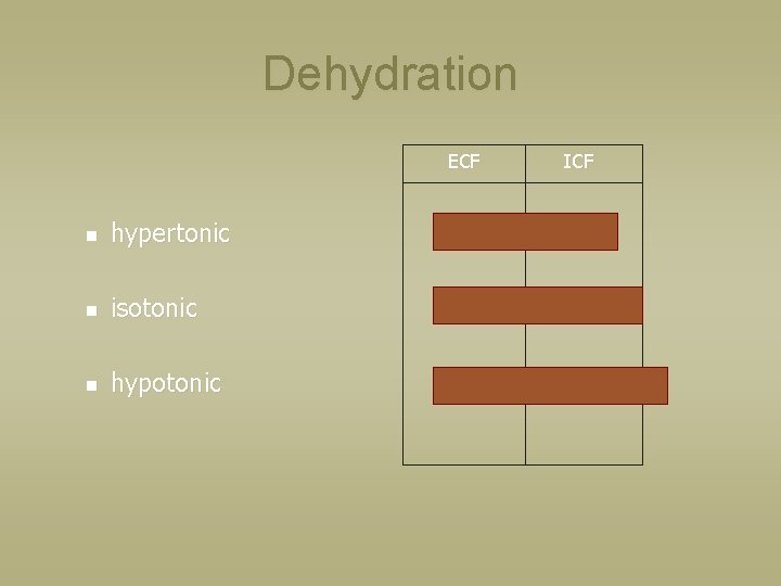 Internal Environment and its possible disturbances Stanislav Matouek