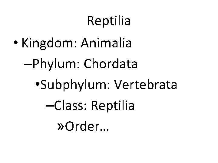 Class Reptilia General Characteristics Bilateral Symmetry Scales ...