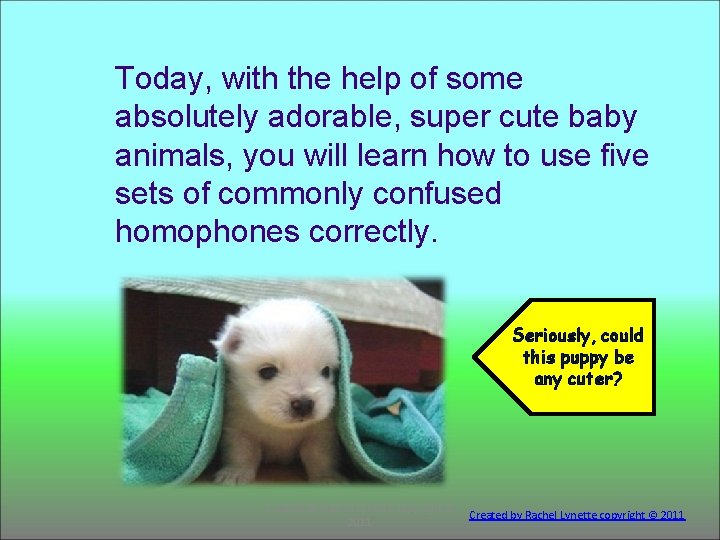 Commonly Confused Homophones with Baby Animals Its and