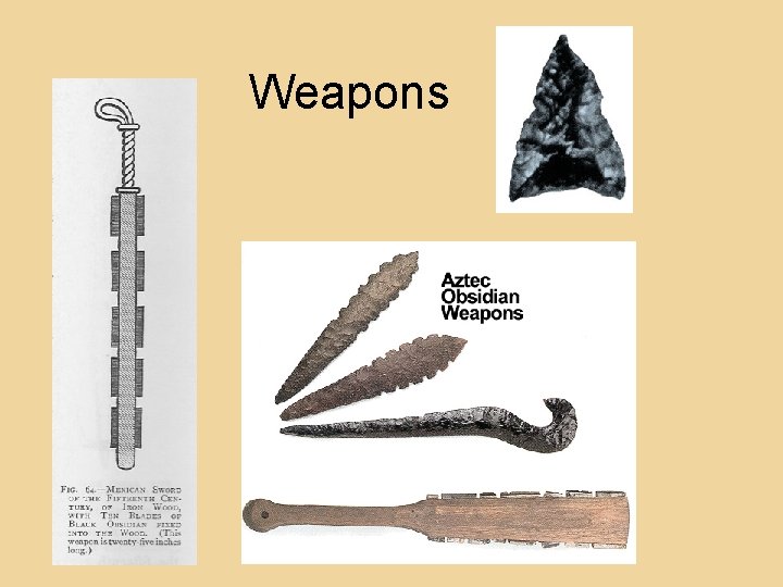 Major PreColumbian Civilizations Olmecs 1200 400 BCE Government