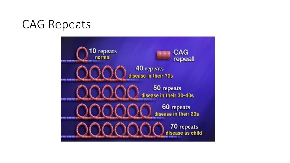 Unit 7 Part 1 Notes DNA AP Biology