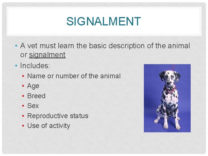 CHAPTER 18 DIAGNOSIS OF DISEASE BY TESSA HAYMAN