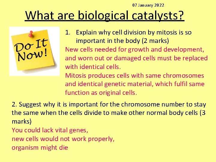 07 January 2022 What are biological catalysts All