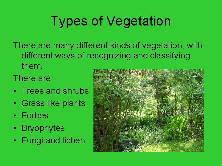 Vegetation By Namaste Leister Types of Vegetation There