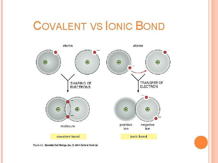 CHAPTER 6 CHEMICAL BONDS Jennie L Borders WARMUP