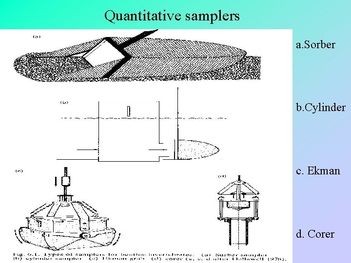 SAMPLING Sampling is indispensable as we cannot study