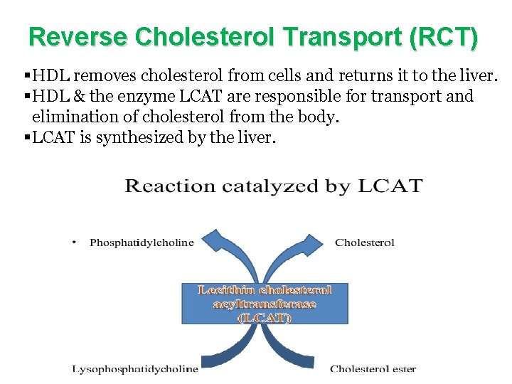 Cholesterol Metabolism Biological significance of cholesterol 1 In