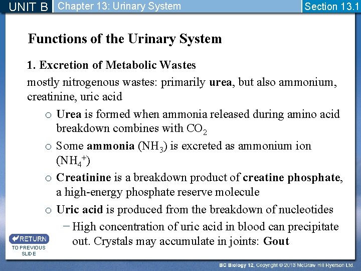 UNIT B Chapter 13 Urinary System The Urinary