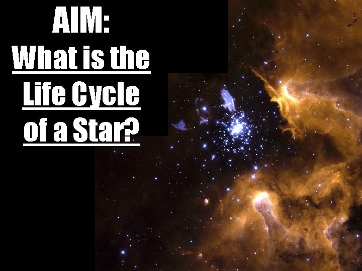 AIM What is the Life Cycle of a