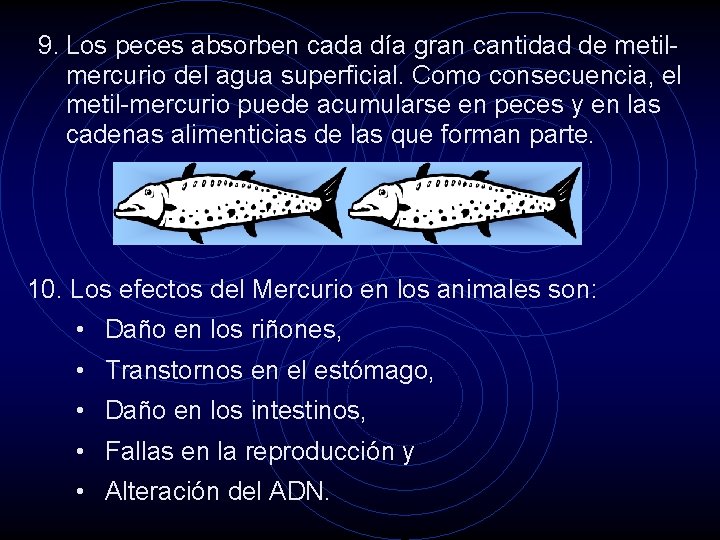 Impacto Ambiental del Mercurio Ing Jos Vidaln Glvez