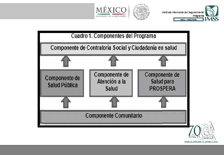 Instituto Mexicano del Seguro Social Programa IMSSOportunidades IMSS