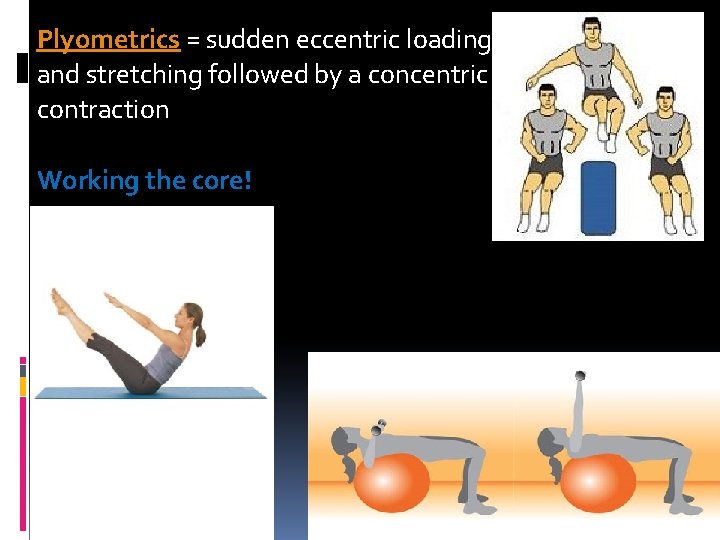 Chapter 4 MUSCULAR STRENGTH AND ENDURANCE Muscle Physiology