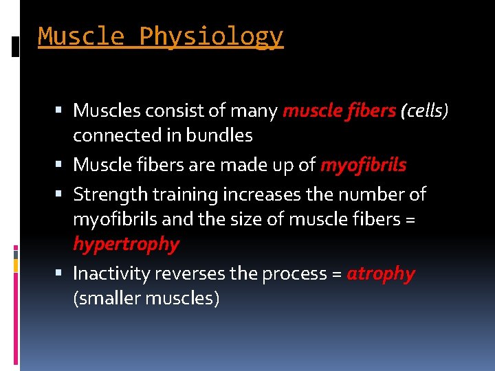 Chapter 4 MUSCULAR STRENGTH AND ENDURANCE Muscle Physiology