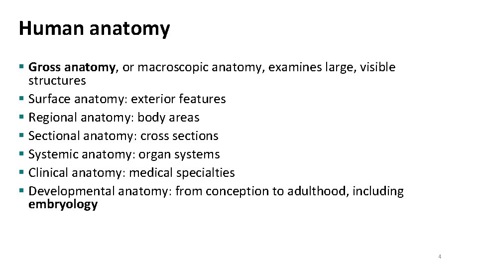 Anatomy and Physiology Anatomy Describes the structures of