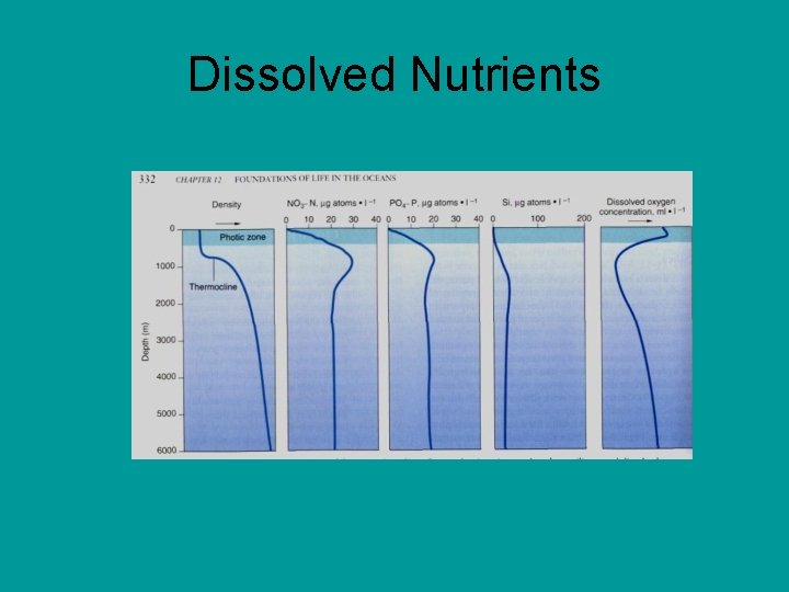 Biological Oceanography Factors Affecting Life and Ocean Zones
