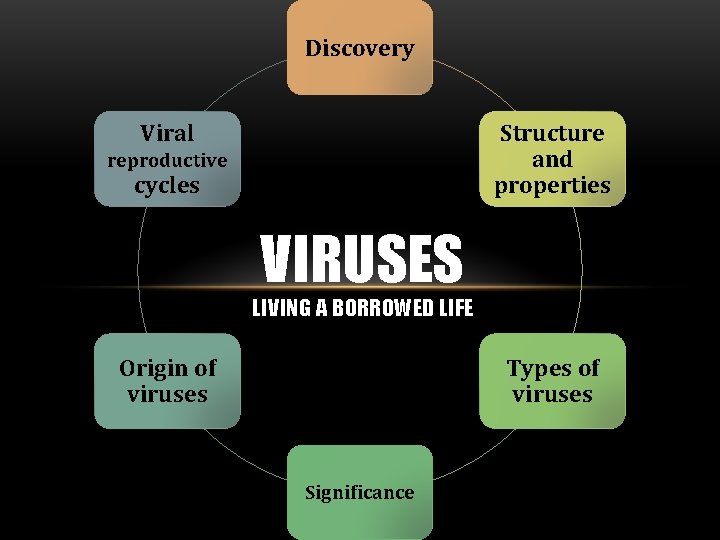 Discovery Viral Structure and properties reproductive cycles VIRUSES