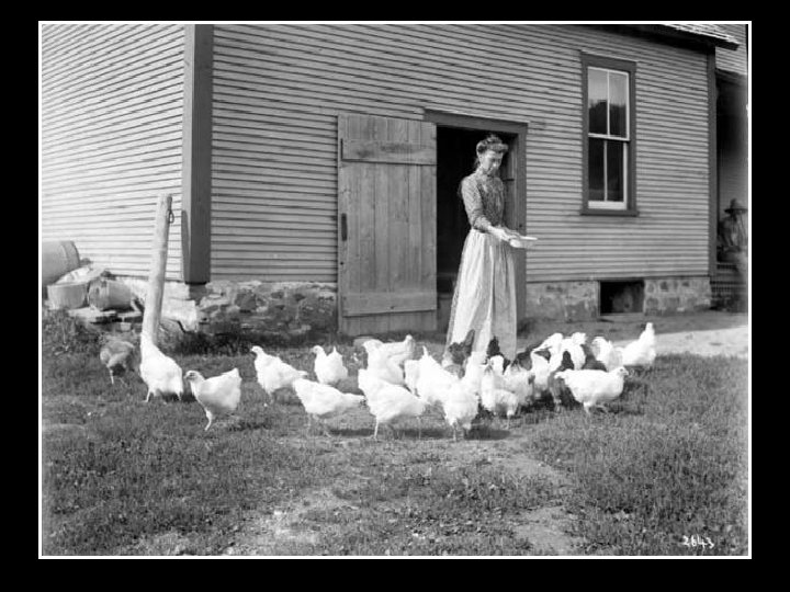 Rural Life 1900 1930 Feminism early 1900 s