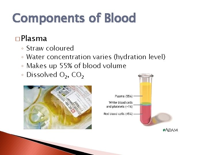CIRCULATORY SYSTEM BLOOD Functions of Blood Transport O