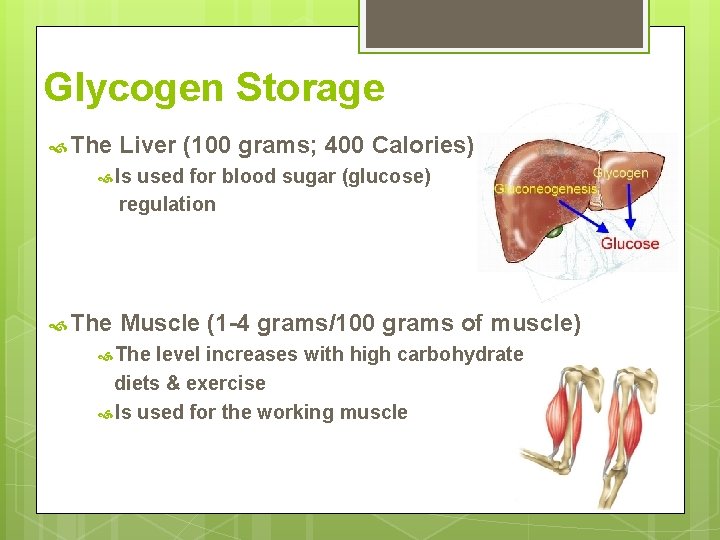 Module 3 4 Carbohydrate Storage Disorders By Jennifer
