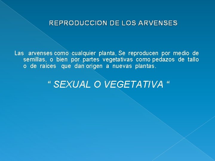 Manejo Ecolgico de Arvenses Qu son arvenses Es