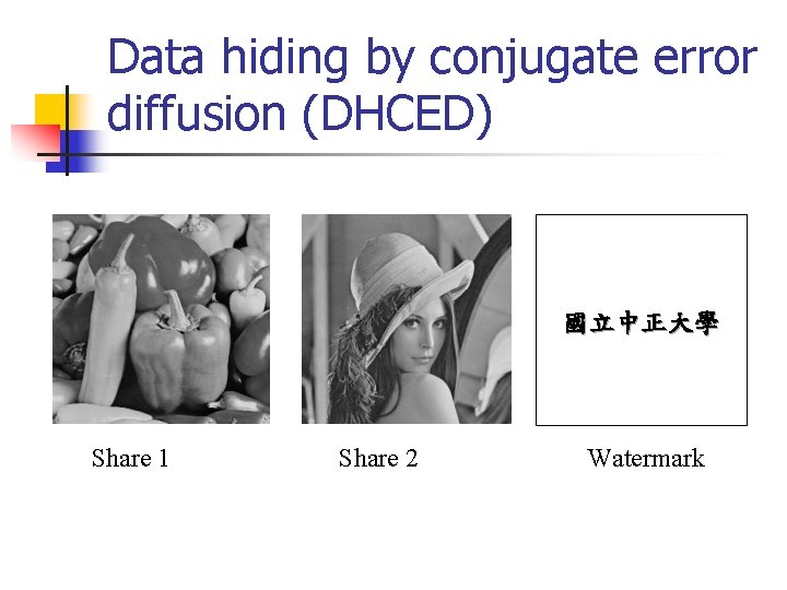 Steganography in halftone images conjugate error diffusion Source